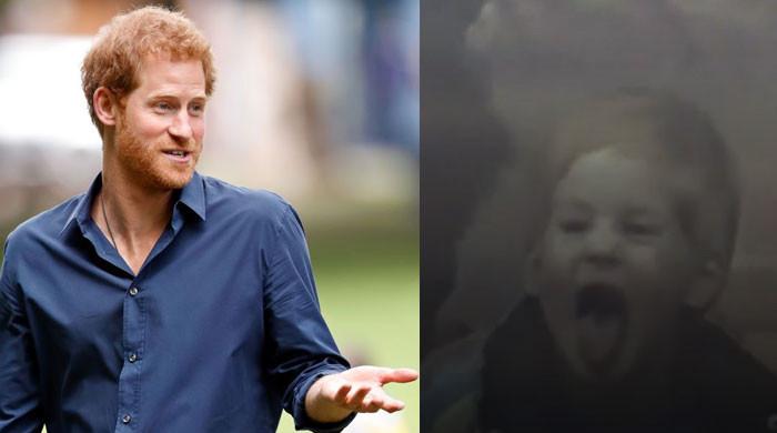 Prince Harry compared to a screaming toddler that thows fists at the ground