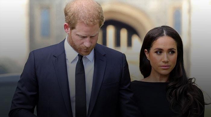 Prince Harry officially running faux royal tour to win back his soul