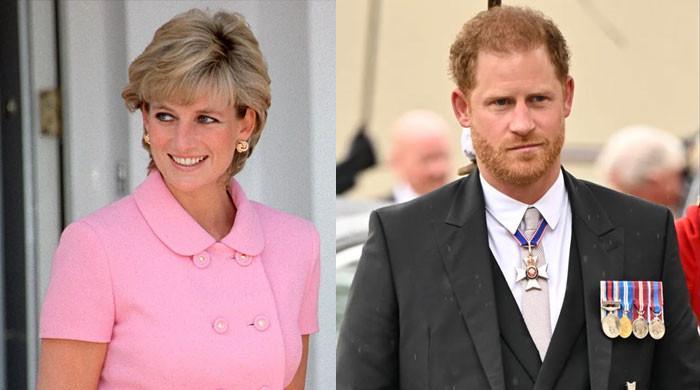 Prince Harry 'desperately' wants to give Princess Diana peace 'for her ...