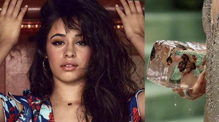 Camila Cabello reveals shocking story behind her ice purse at 2024 Met Gala Camila Cabello reveals shocking story behind her ice purse at 2024 Met Gala