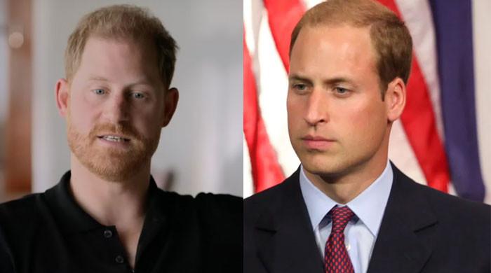 Prince Harry exasperated as Prince William refuses to pick up his phone