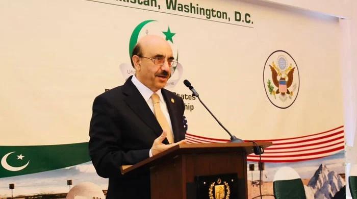 Outgoing ambassador calls for persevering efforts to fortify Pakistan ...