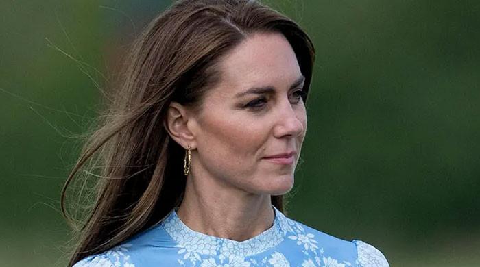 Kate Middleton's unhinged dive into being media fodder exposed