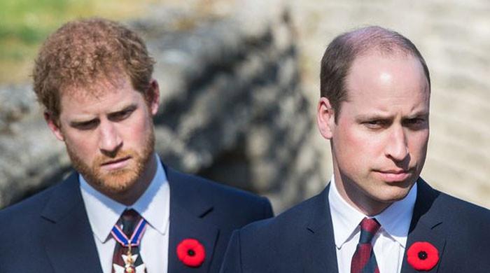 Prince Harry accused of copying big brother Prince William