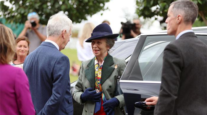 Princess Anne opens up about 'injuries and concussion' for first time ...