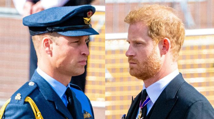 Prince Harry set to eclipse Prince William with his windfall
