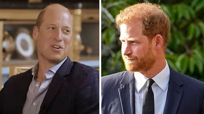 Real reason Prince Harry was kept away from inheritance for so long ...