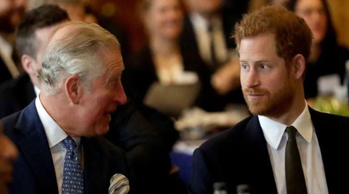 Prince Harry Resorts To Blackmailing King Charles After He Stopped