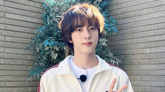 BTS Jin takes on a journey with insights into 'Worldwide Handsome's night'