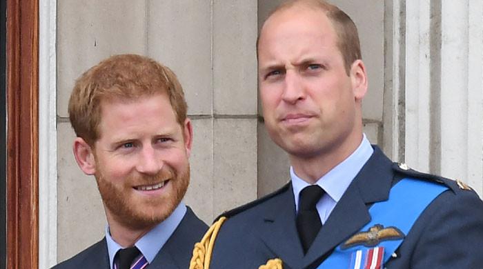 Prince Harry, Prince William's reunion 'possible'