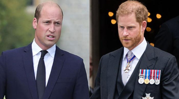 Prince Harry, Prince William's current dynamic laid bare