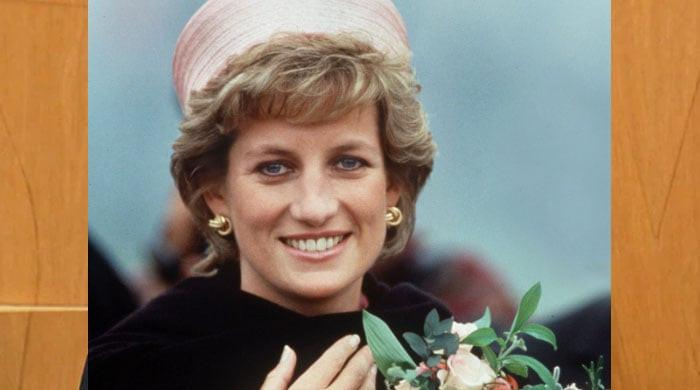 Princess Diana photographer explains her ‘final picture' on death day