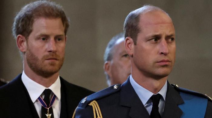Prince William turns deaf ear to Prince Harry's emotional appeal
