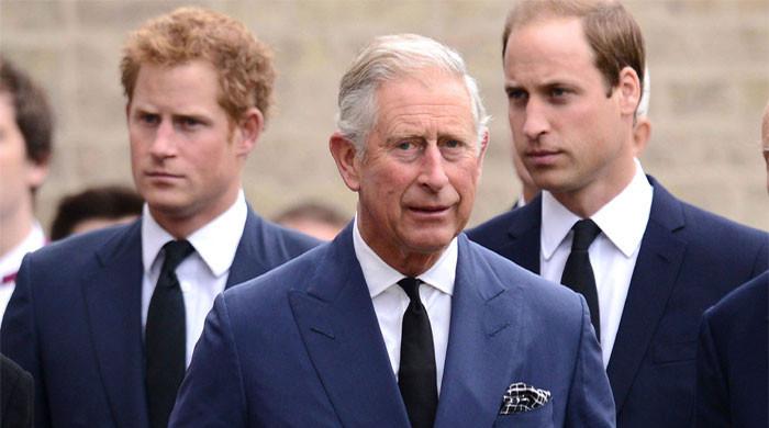 Prince William, Harry land King Charles in 'miserable' situation