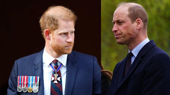 Prince William ‘clenching teeth' after breaking for Harry