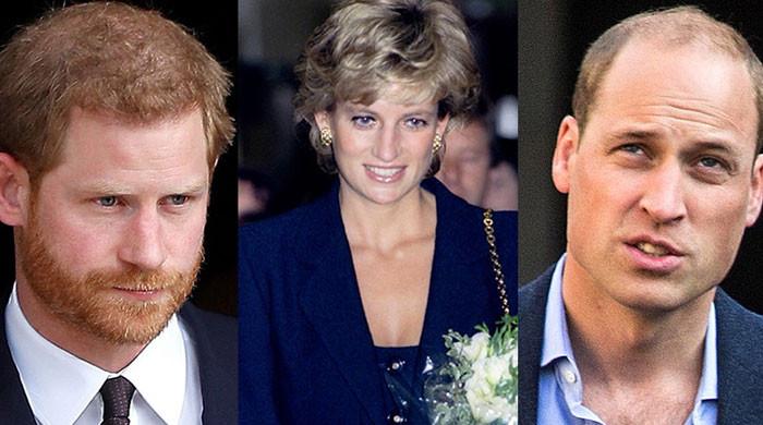 Prince William ‘jealous' Prince Harry is more like Diana