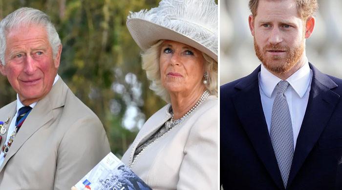 Queen Camilla turns into King Charles' bodyguard against Prince Harry