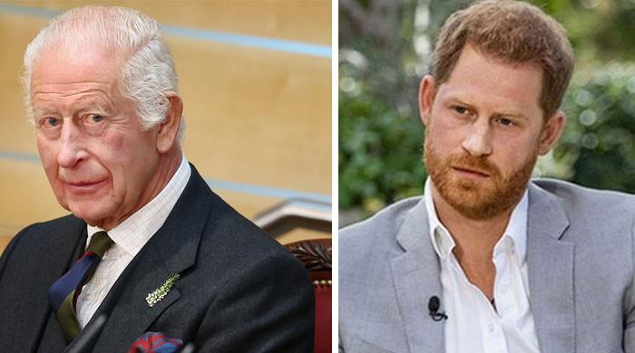 Prince Harry's begging King Charles to fix Meghan Markle objections for ...