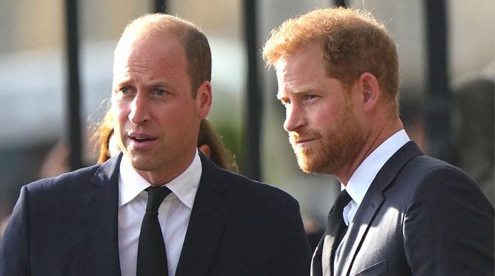 Prince William's new revelation rubs salt in Prince Harry's royal wounds