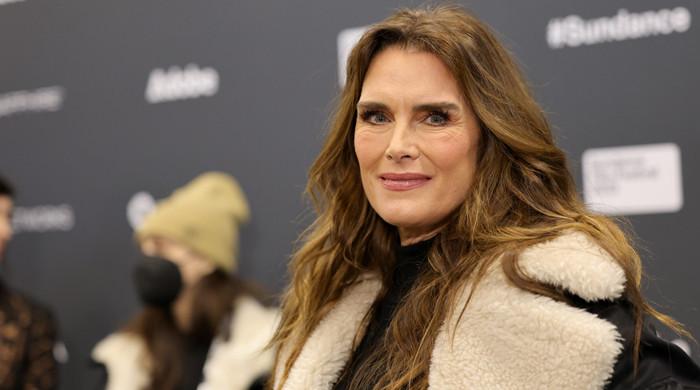 Brooke Shields gets candid about her pet having 'good taste'