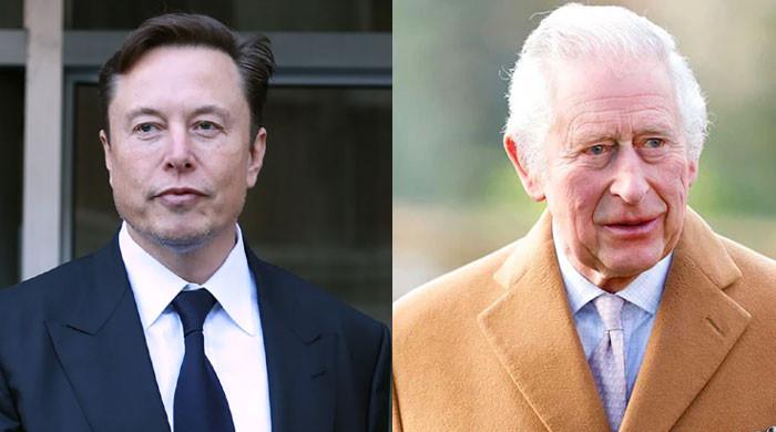 Elon Musk makes rare remarks about British monarchy