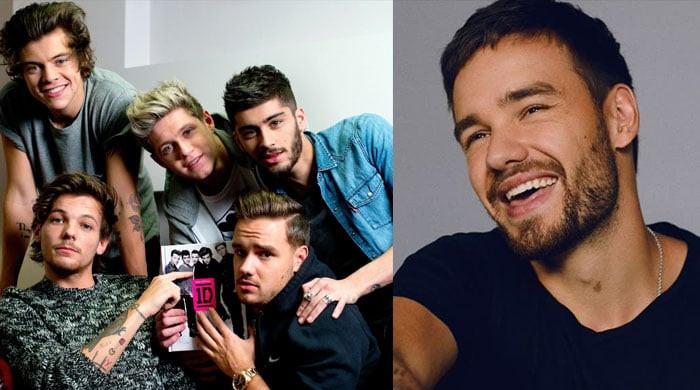 ‘One Direction' split came after baseless ‘ego battles'