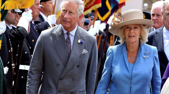 Buckingham Palace releases King Charles, Camilla's new video