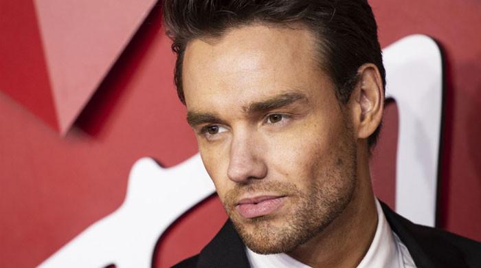 Liam Payne's text to mentor before plunging to his death come to light