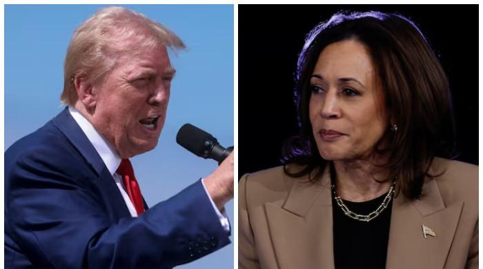 Key Moments From Campaign Trail As Trump Harris Edge Towards Election Day