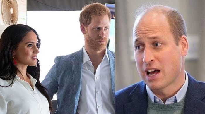 Prince William snubs Meghan Markle in olive branch to Harry
