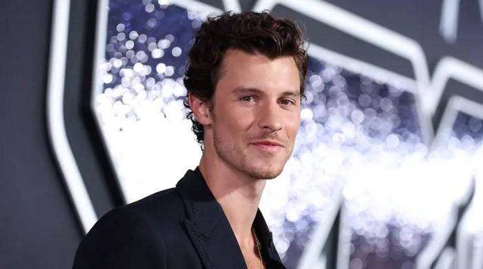 Shawn Mendes reveals 'real truth' about his identity