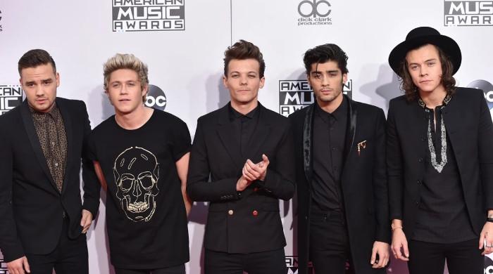 Shocking Details About One Direction Members Emerge After Liam Payne