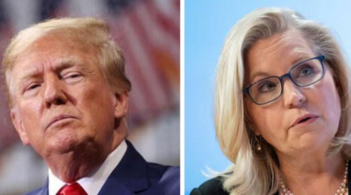 Trump suggests Liz Cheney should face firing squad for her foreign ...