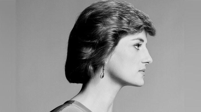 Doctor responsible for forensically examining Diana's body shares ...