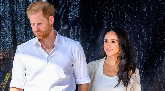 ‘Harry - The Lost Prince' to rehash old wounds for Prince Harry, Meghan ...