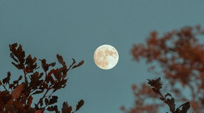 Earth set to bid farewell to its temporary 'mini moon'