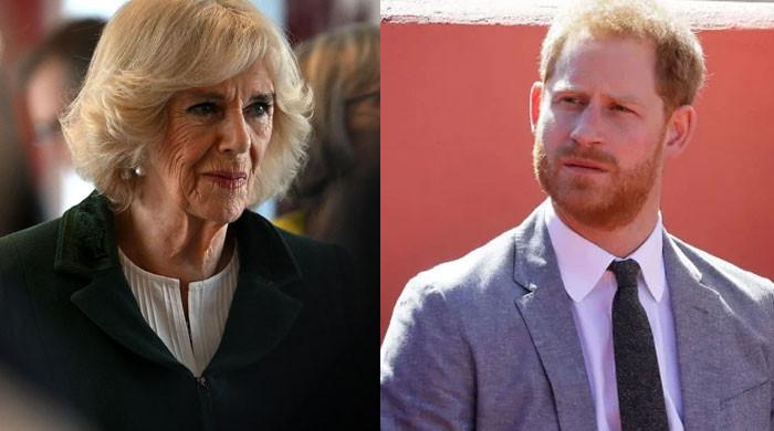 Prince Harry is transforming into the Queen Camilla of her day