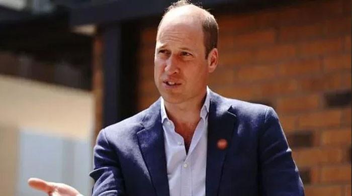 Prince William's calm amid crisis comes into view as Queen Camilla dips ...
