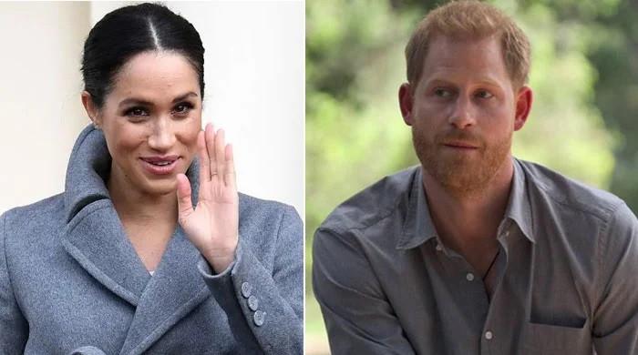 Prince Harry and Meghan Markle face criticism over public image and new ...