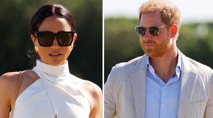 Prince Harry and Meghan Markle pursue separate career paths amid concerns for their relationship ...