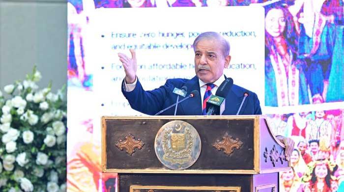 'Uraan Pakistan': PM Shehbaz urges 'political harmony' to achieve ...