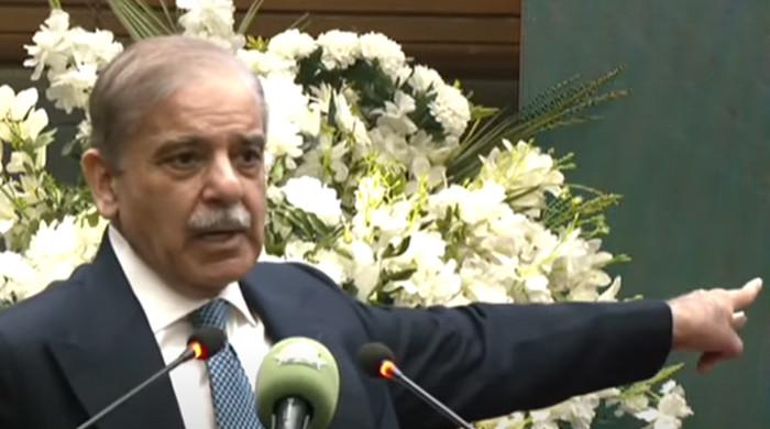 Pakistan's economy getting back on its feet, says PM Shehbaz