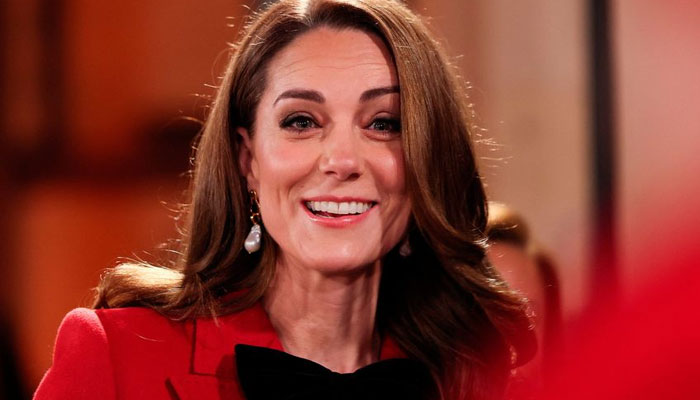Royal experts call Kate Middleton 'solution-focused'