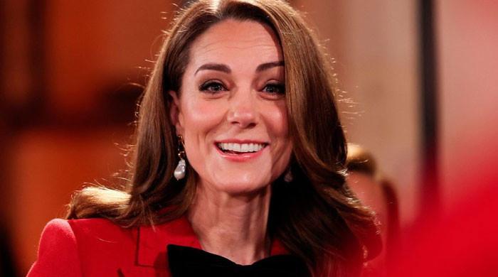 Royal experts call Kate Middleton 'solution-focused'