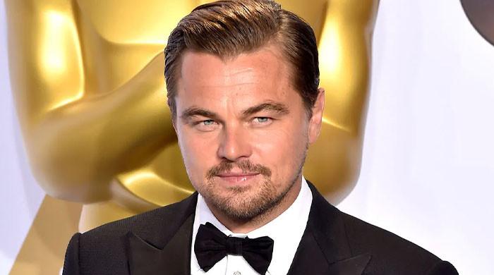 Leonardo DiCaprio ditches 'climate warrior' role as he flees from LA fires