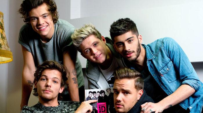 Harry Styles pours 'cold water' on One Direction reunion