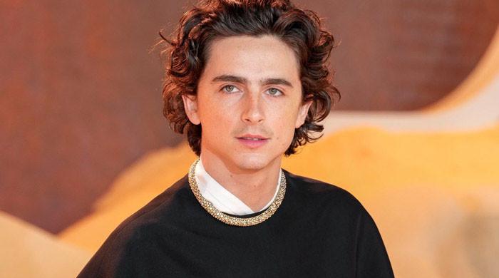 Timothee Chalamet penalised over stunt at 'A Complete Unknown' premiere