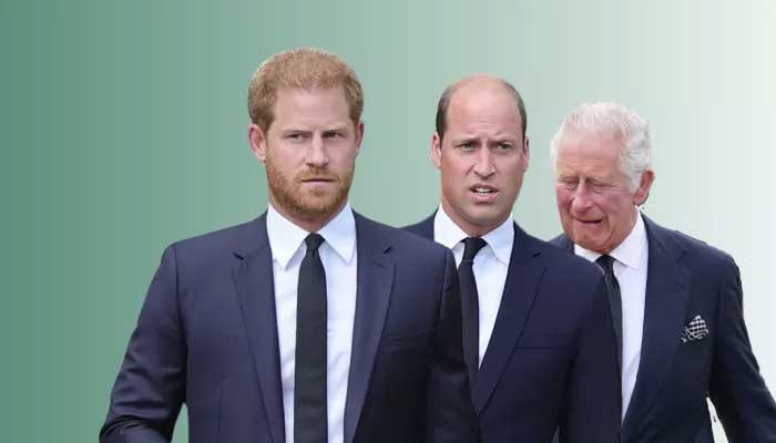 King Charles, William watch in awe as triumphant Harry walks away with ...