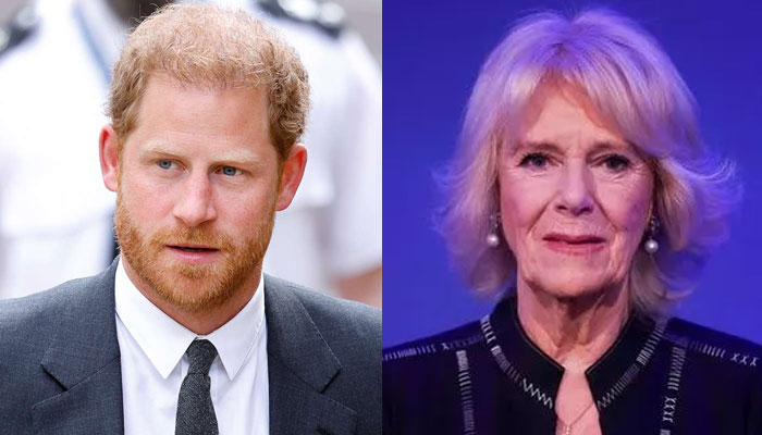 Queen Camilla makes powerful speech after Prince Harry's legal victory ...