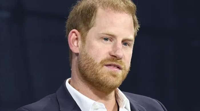 ‘The chip on Prince Harry’s shoulder’ branded ‘ludicrous’